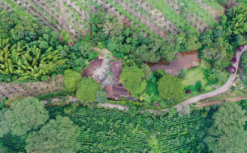 SK Coffee: Unique and Rare Coffee