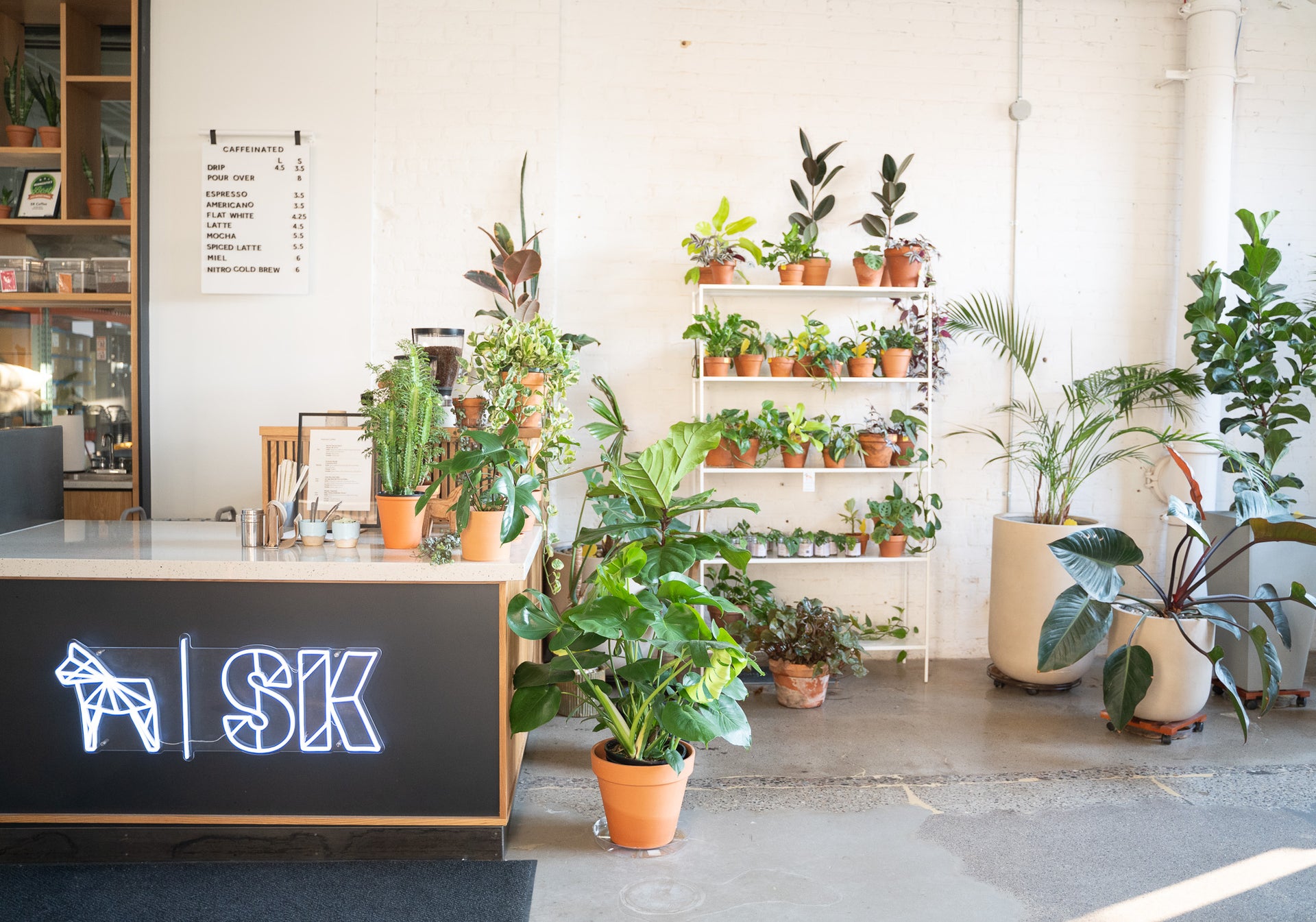 SK Coffee: Unique and Rare Coffee